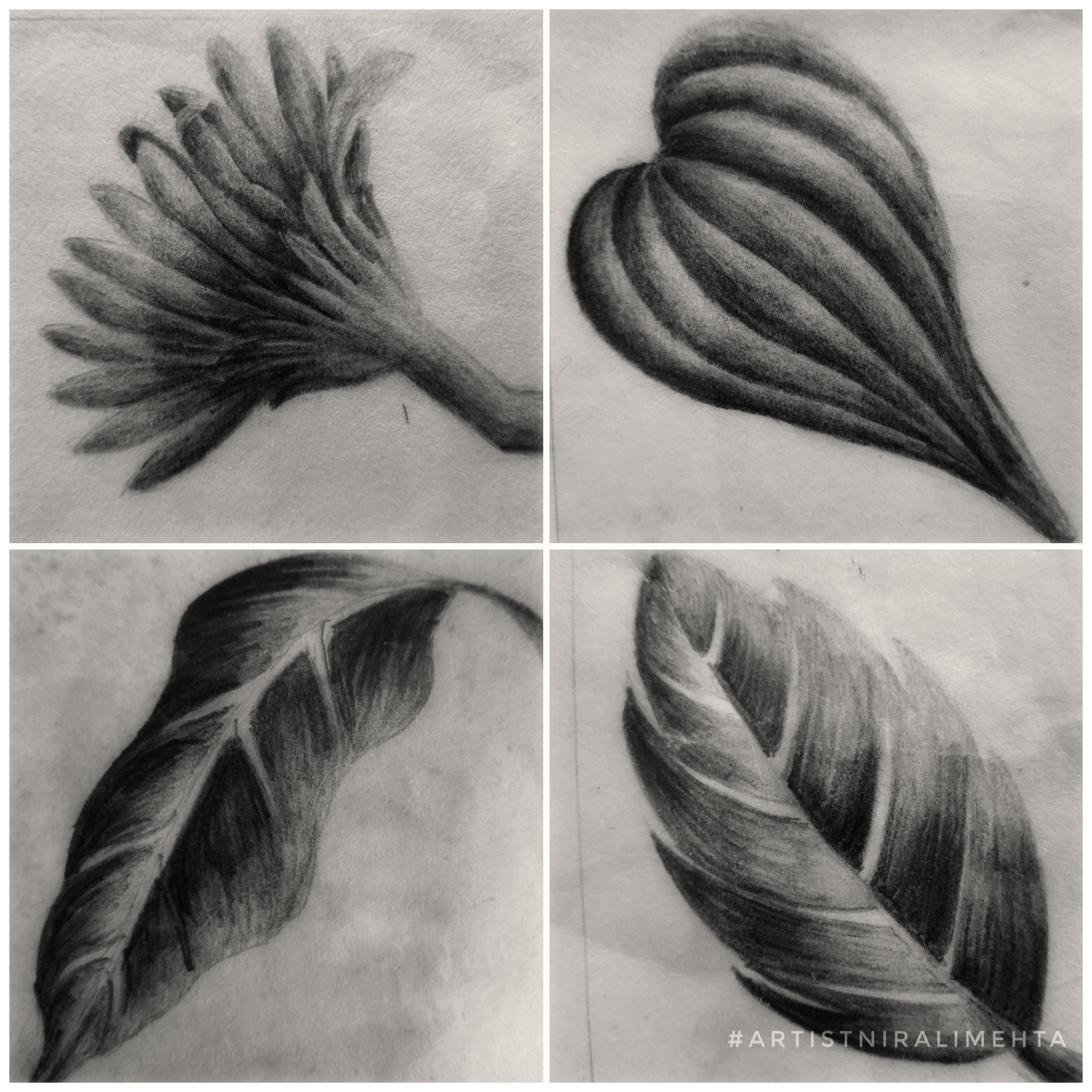 A Beginners Guide To Pencil Shading – NMartworks